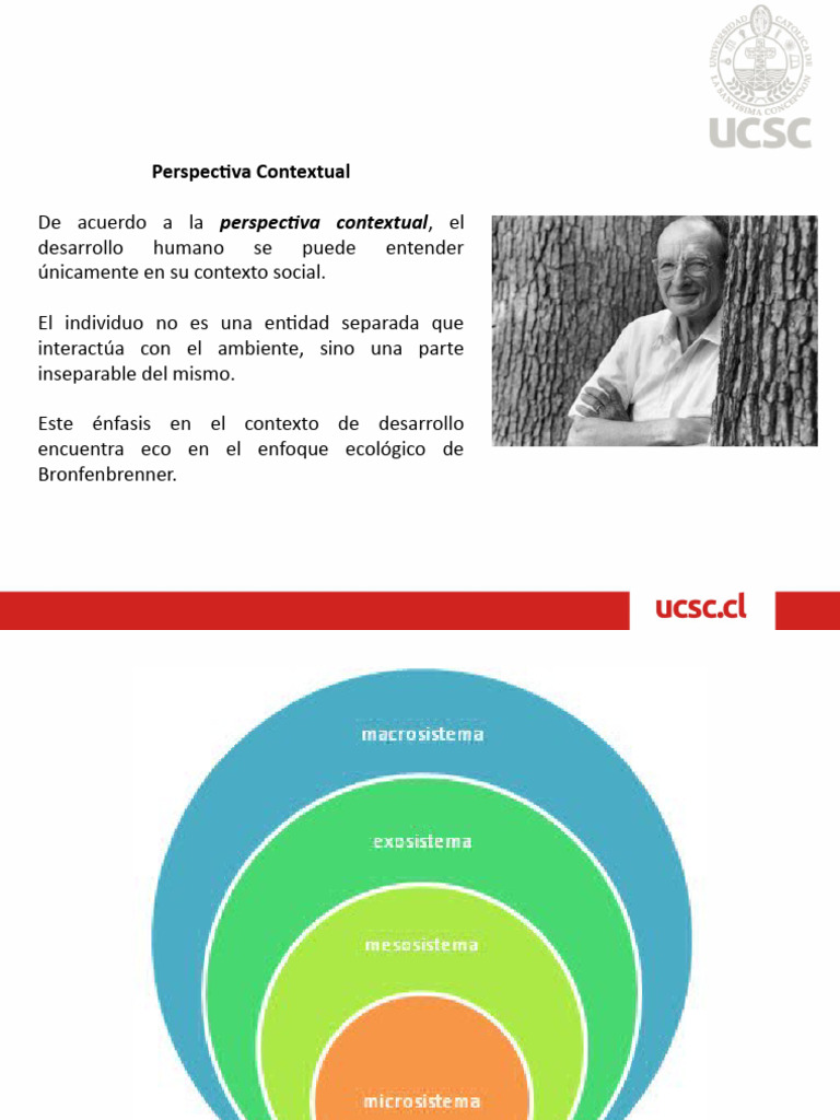 Perspectiva Sistémica - Contextual | PDF | Entorno natural | Aprendizaje
