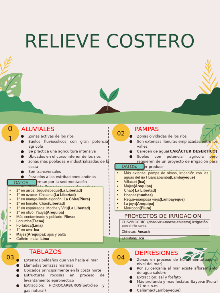 Diapo Geografia Relieve Costero | PDF | Andes | Ciencia medioambiental