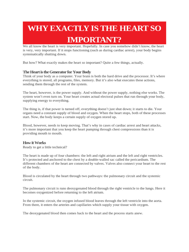 Why Is The Heart So Important | PDF | Heart | Artery