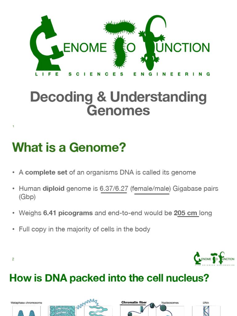 BIO 411 - Decoding Understanding Genomes Lecture | PDF | Dna Sequencing | Gene