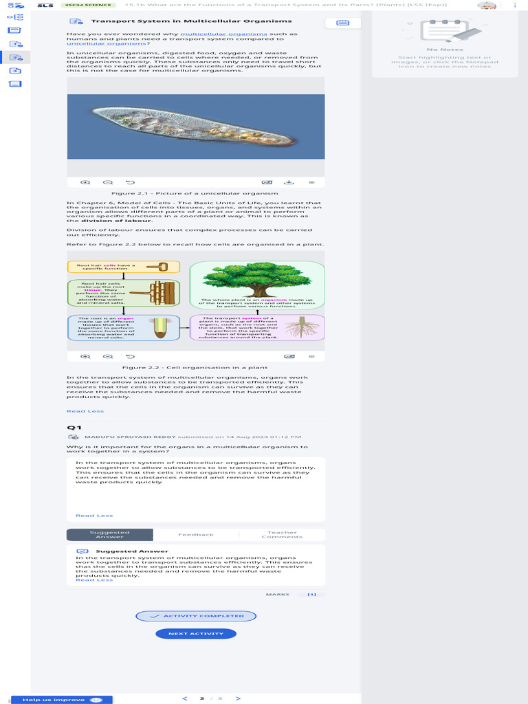 15.1b What Are The Functions of A Transport System and Its Parts ...