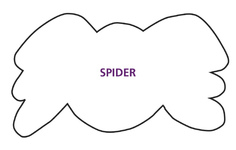 Spider | PDF