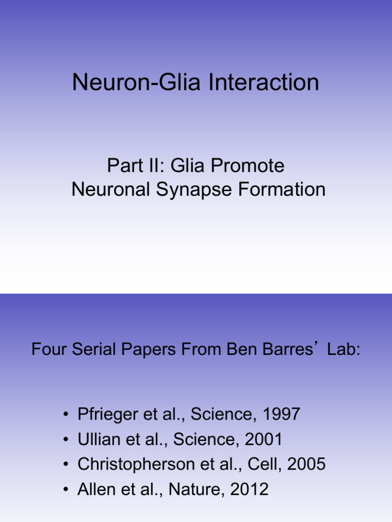 25-Neuron-Glia Interaction II Current Research | PDF | Synapse ...