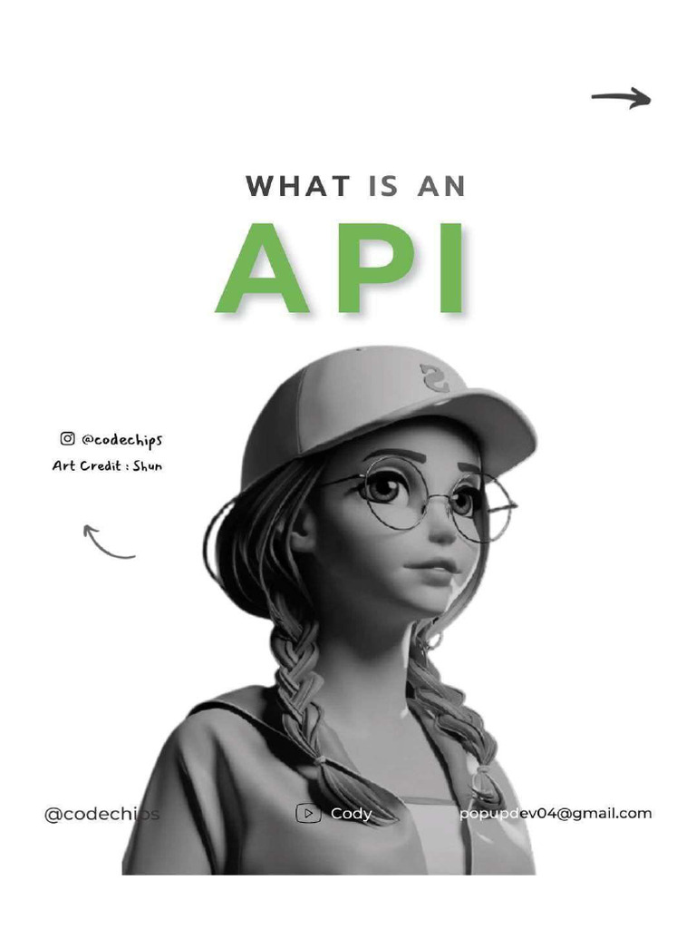 What Is An API | PDF