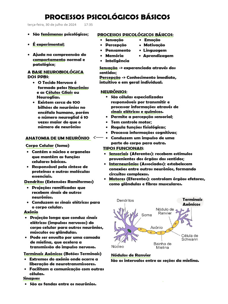 Processos Psicológicos Básicos | PDF | Neurônio | Axônio