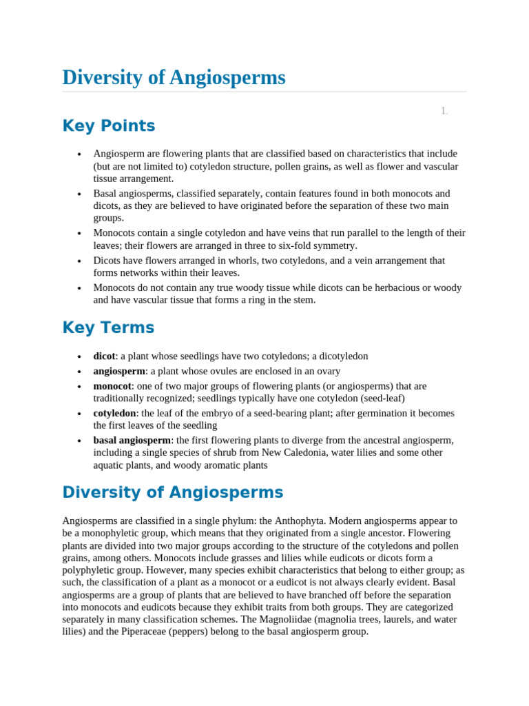Diversity of Angiosperms | PDF | Leaf | Flowers