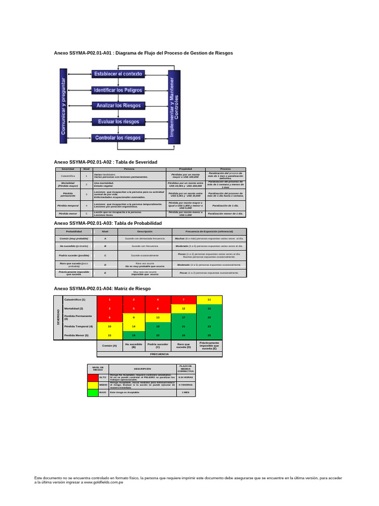 SSYMA P02.01 F02 Identificacion de Peligros Evaluacion de Riesgos y ...