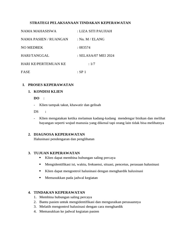 SPTK SP 1 Halusinasi H-1 | PDF | Karier & Perkembangan