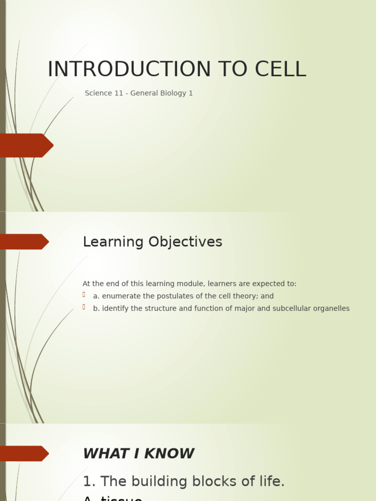INTRODUCTION TO CELL | PDF | Cell (Biology) | Endoplasmic Reticulum