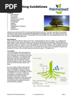 V4 Trees Issue 2 Operatives Handout | PDF | Trees | Root