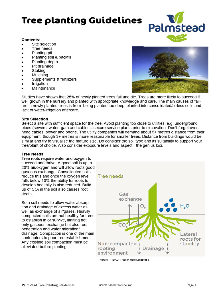 PNL How To Plant Leaflet Comp | PDF | Trees | Mulch