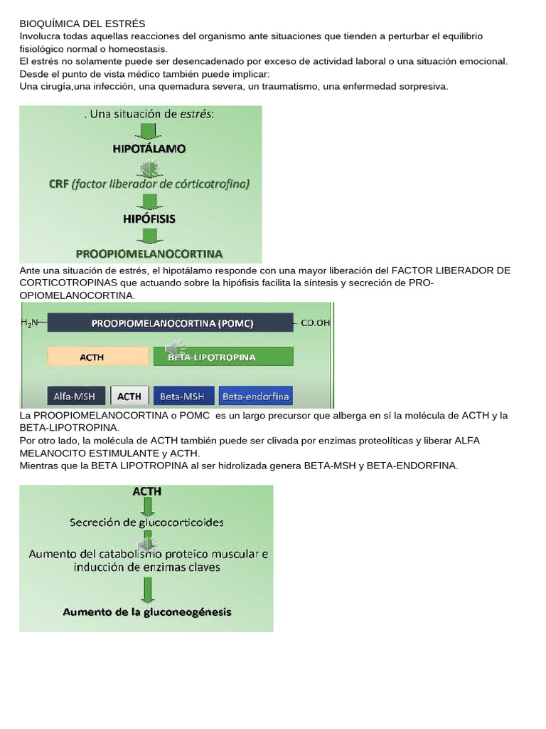 Bioqui 25 | PDF | Vitamina D | Hormona adrenocorticotrópica