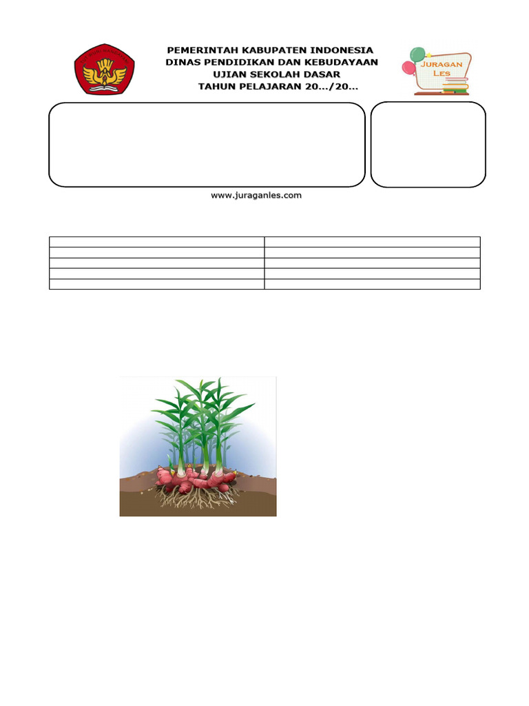 Soal US IPA Kelas 6 Perkembangbiakan Pada Tumbuhan Dan Hewan | PDF
