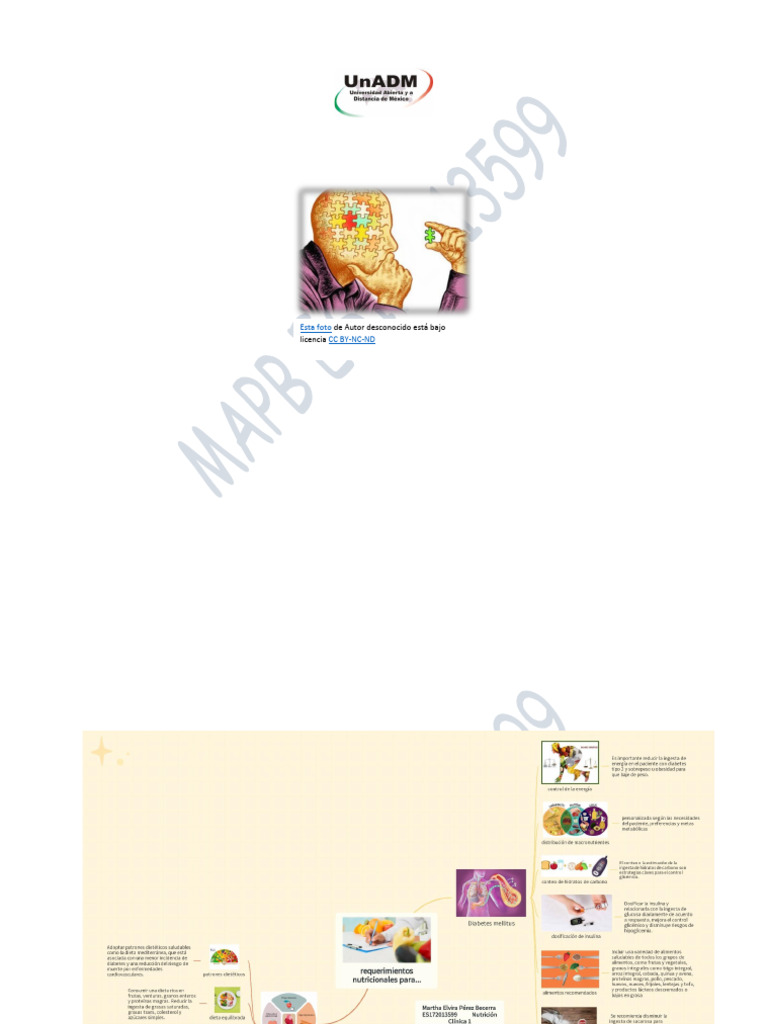 Ncl1 U1 Atr Mapb Pdf Nutrición Dieta Y Nutrición