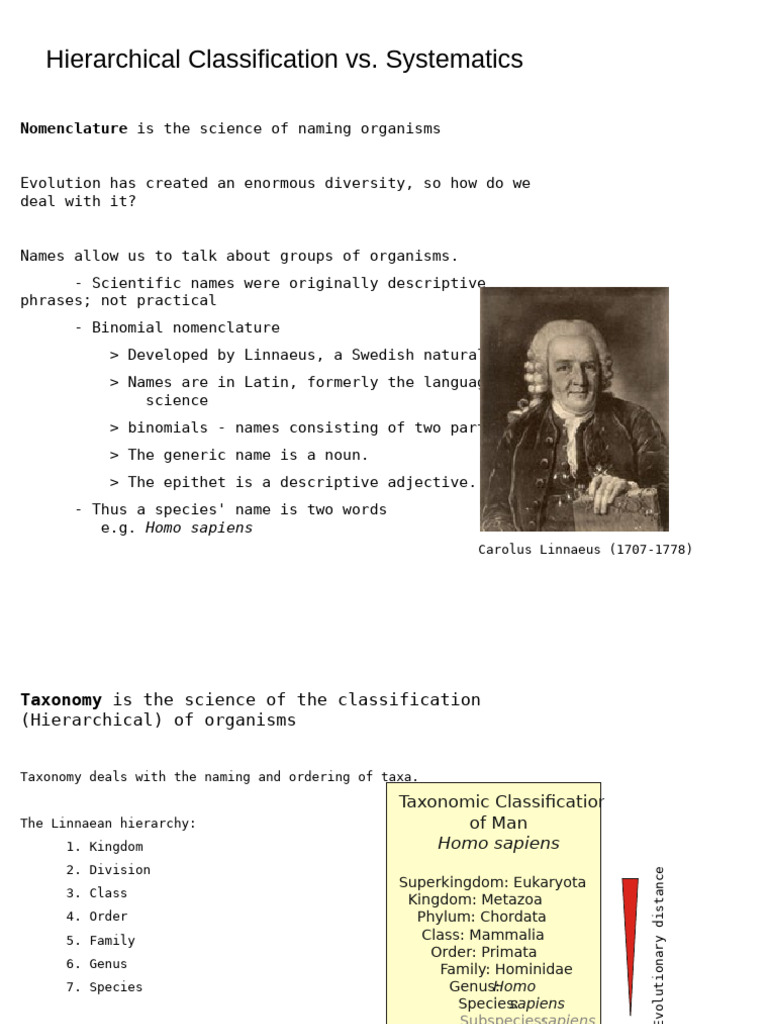 Cladistics and Hierarchy | PDF | Taxonomy (Biology) | Biological Classification