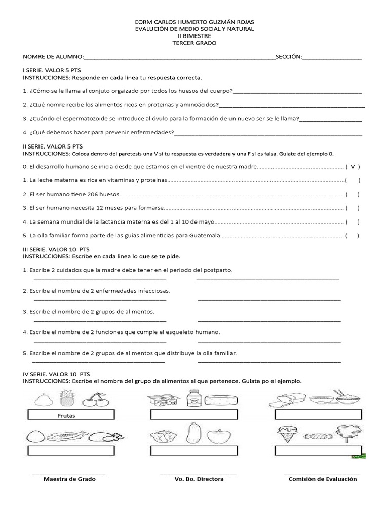 Evaluación Tercer Grado Primaria | PDF