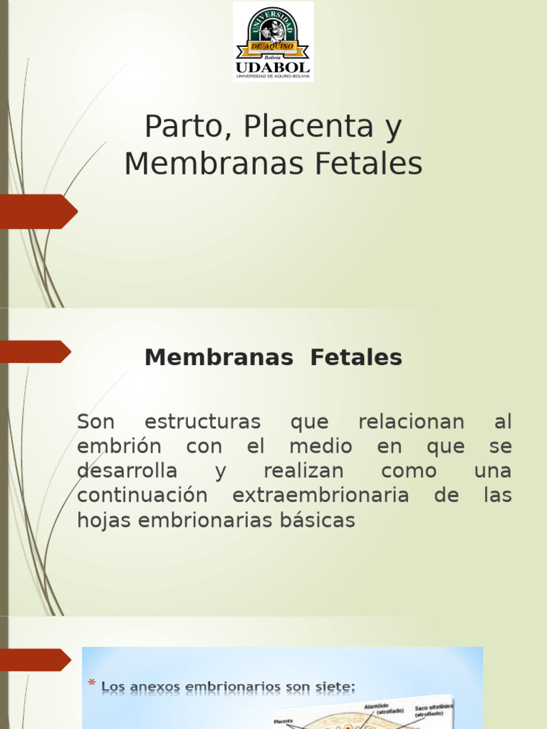 Parto, Placenta y Membranas Fetales | PDF | Parto | Placenta