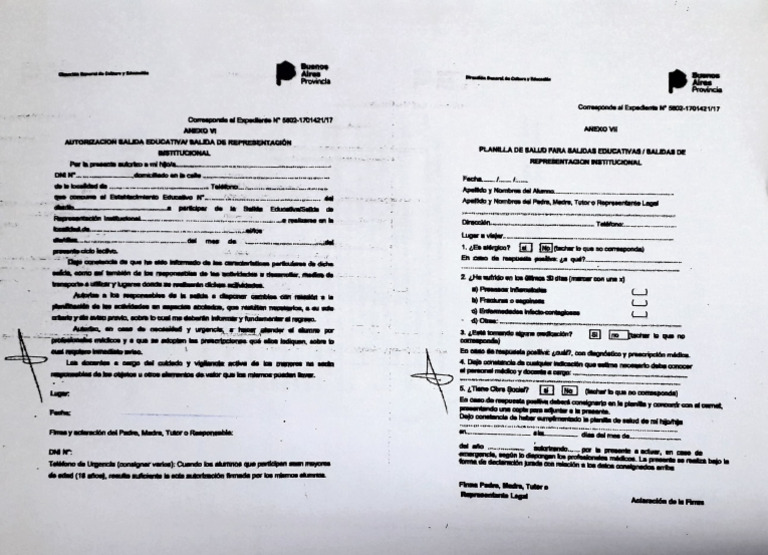 ANEXO VI y VII | PDF