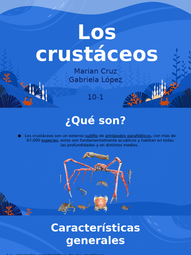 Los Crustáceos | PDF | Crustáceo | Zoología