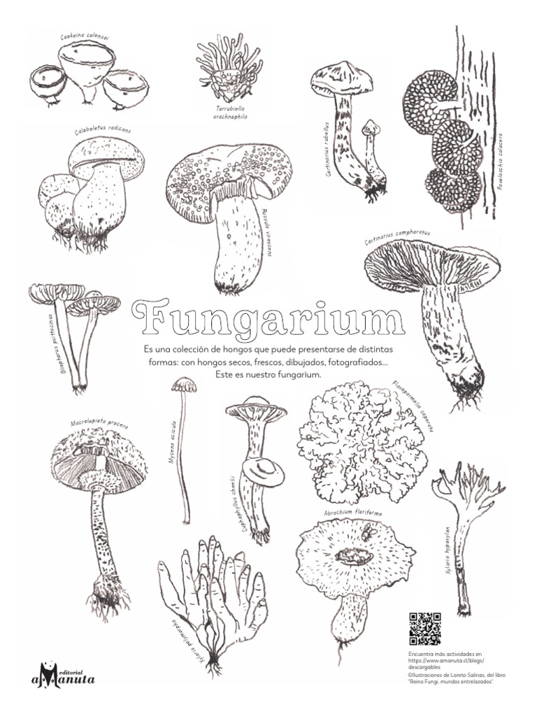 Descargable Fungarium | PDF | Hongo | Micología