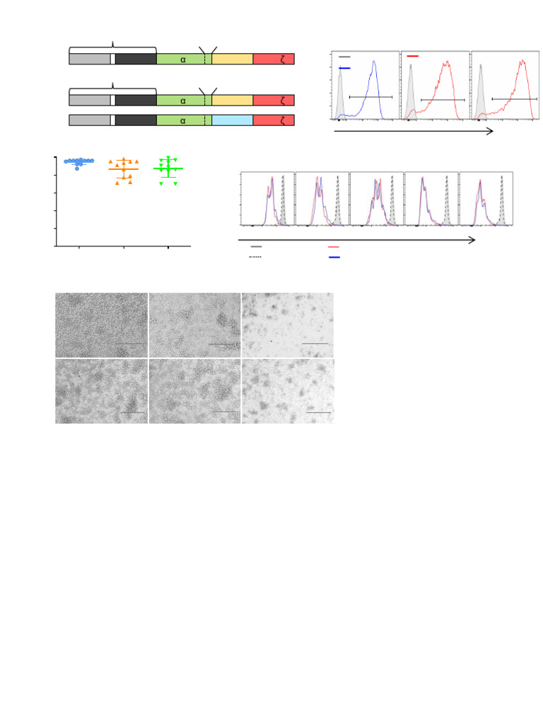 2022 29647 Moesm1 Esm | PDF | Clinical Medicine | Biology
