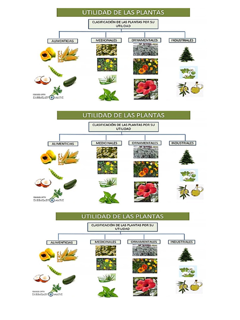 Utilidad de Lasd Plantas | PDF