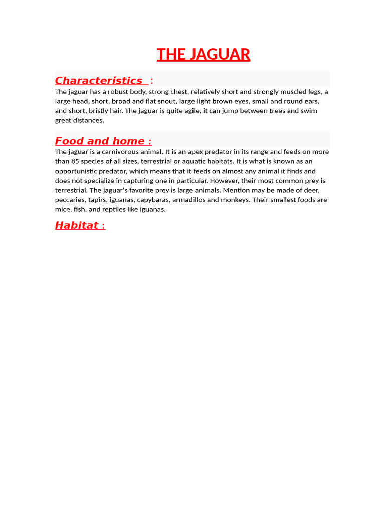 Jaguar: Characteristics, Habitat, and Diet | PDF