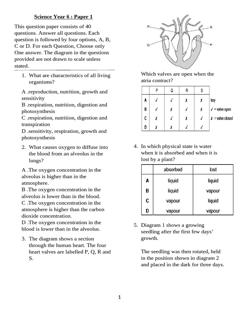 P6 SCIENCE Paper 1 (1st Small Test 2018) | PDF | Blood | Oxygen