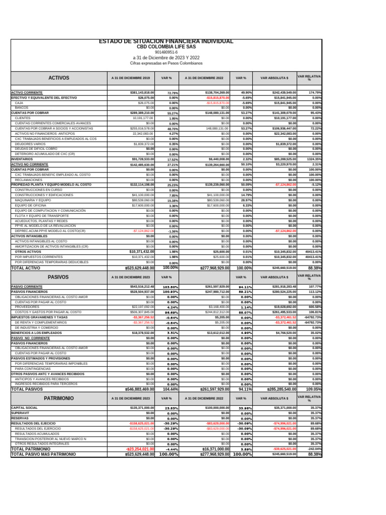 Estados Financieros CBD 2023 | PDF | Contabilidad financiera | Economias