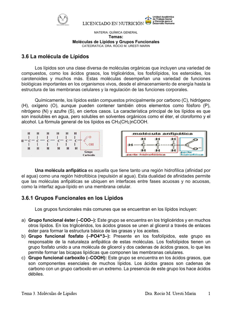 UNIDAD 3 Tema 6 Moleculas de Lipidos | PDF | Lípido | Ácido graso