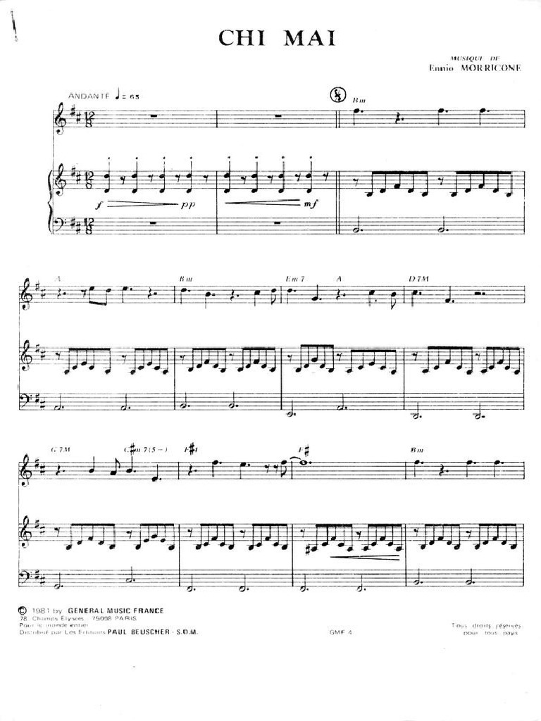 Le_Professionnel_Chi_Mai | PDF