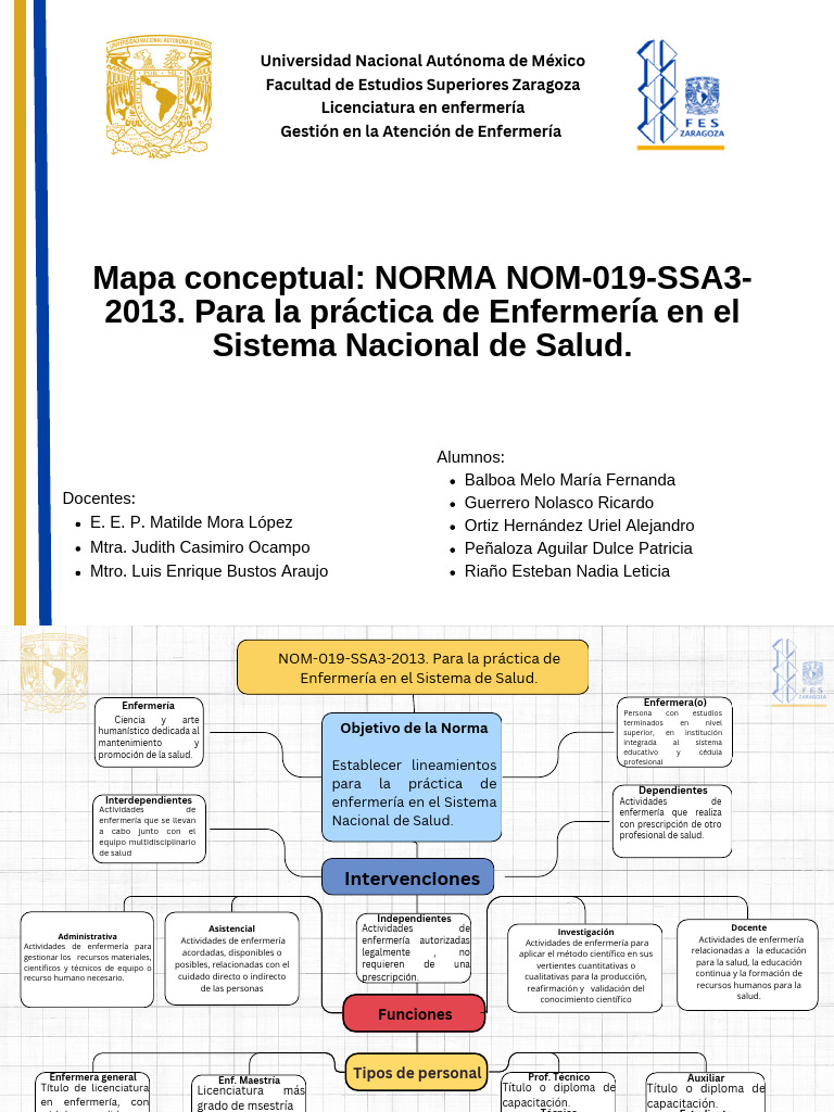 Mapa Conceptual NOM 019 | PDF | Enfermería