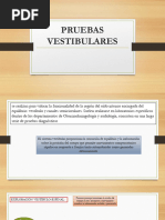 Protocolo Hints | PDF | Neuroimagen | Vértigo