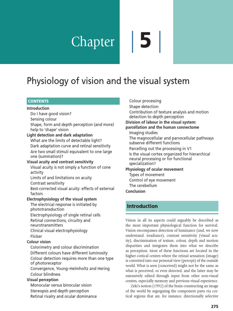 The Eye, Oftalmo Parte 5 | PDF | Visual Cortex | Visual System