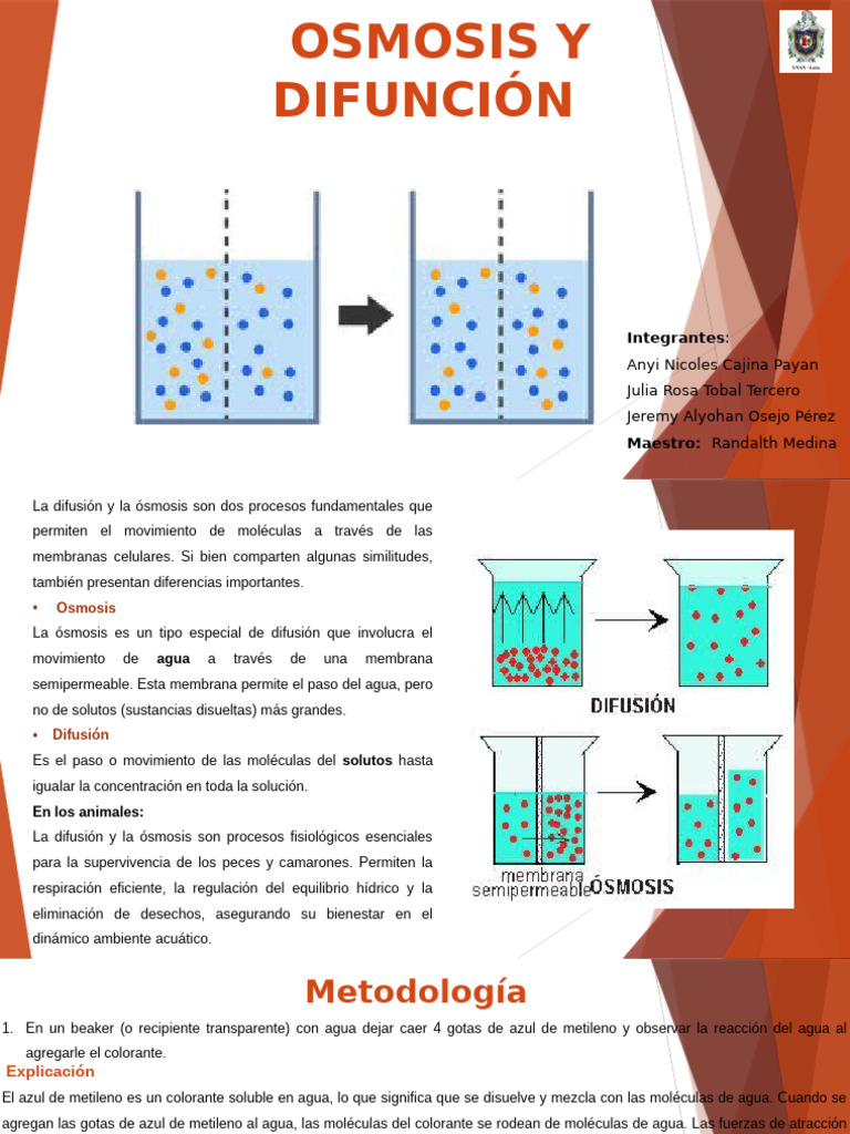 Osmosis y Difunción | PDF | Ósmosis | Biología