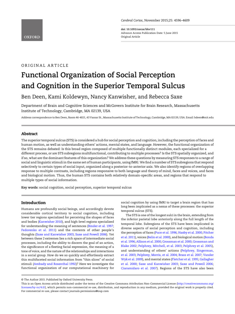 Functional Organization of Social Perception and Cognition in The Superior Temporal Sulcus | PDF ...