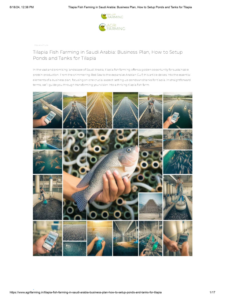 Tilapia Fish Farming in Saudi Arabia - Business Plan, How To Setup ...