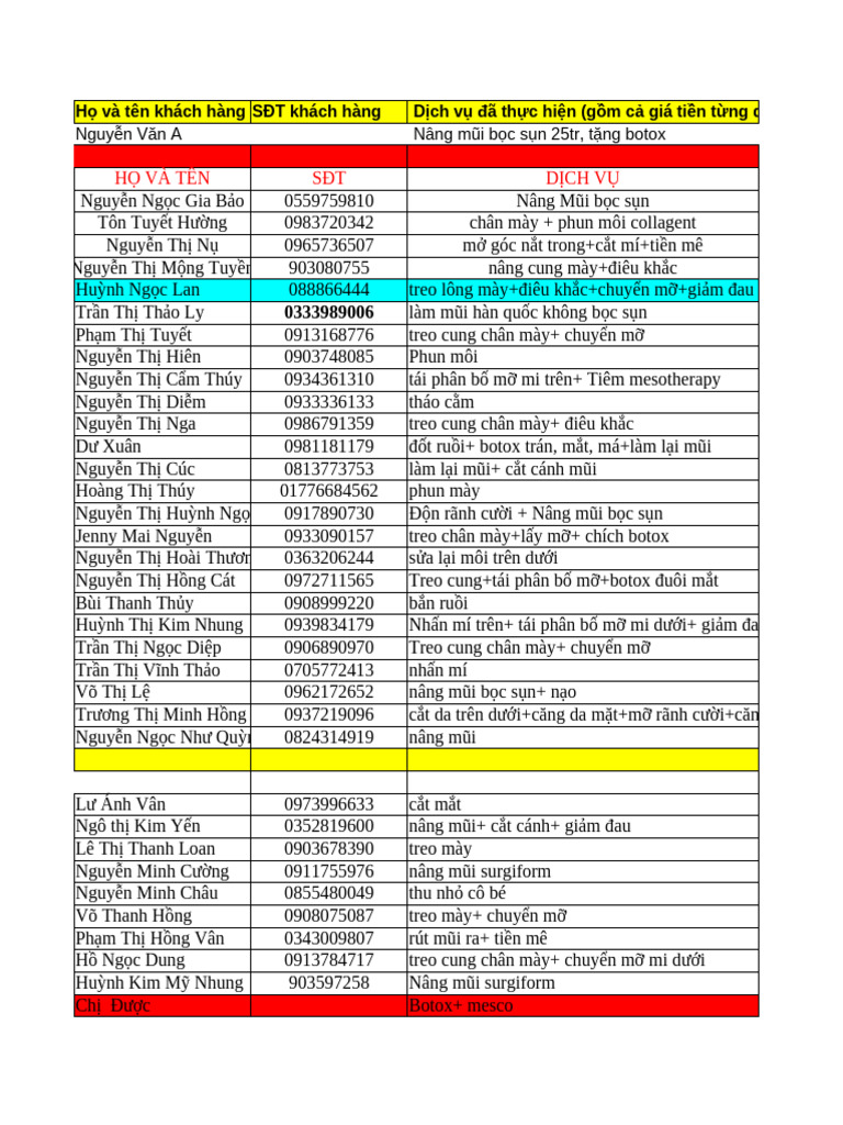 Thông Tin Khách Hàng TMV Bs Minh | PDF