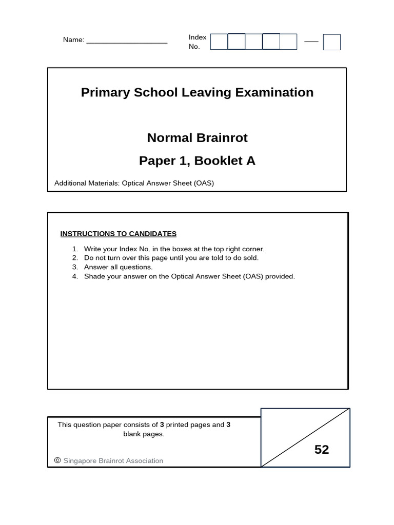 Normal Brainrot Paper | PDF