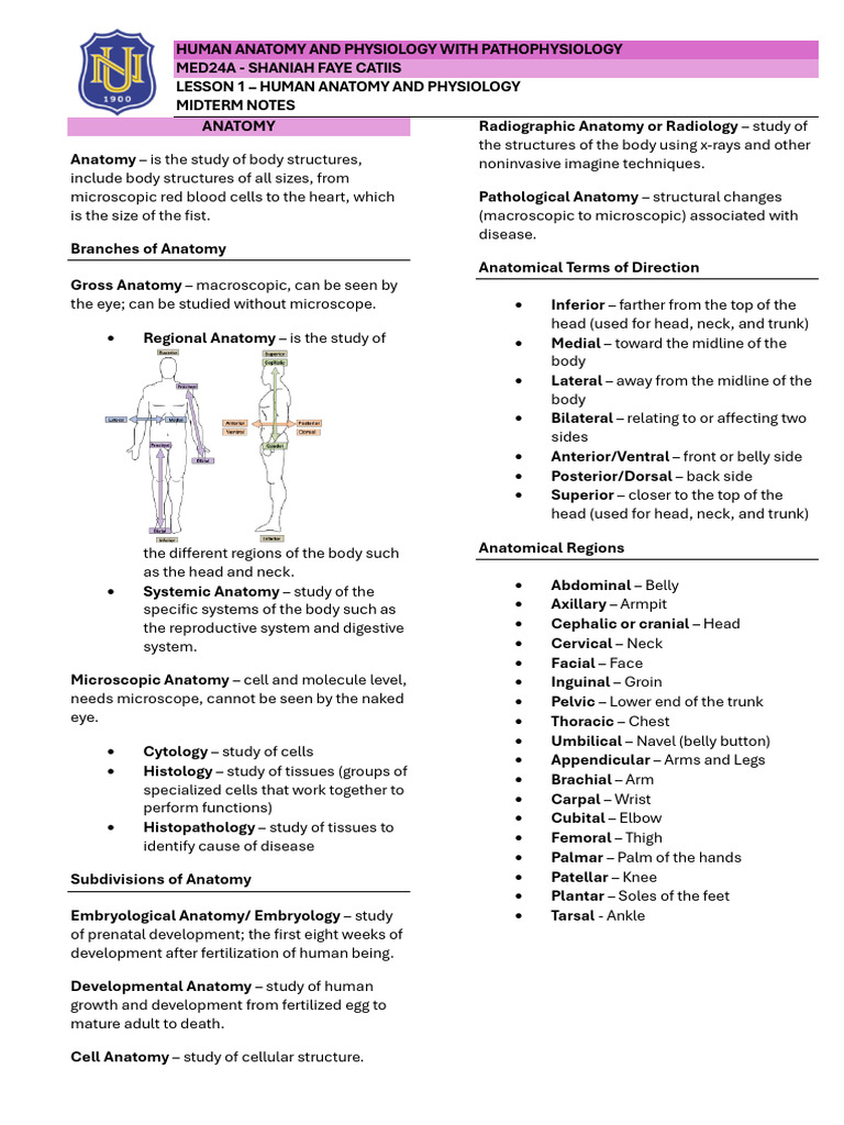 Anatomy and Physiology Lesson 1 | PDF | Anatomical Terms Of Location ...