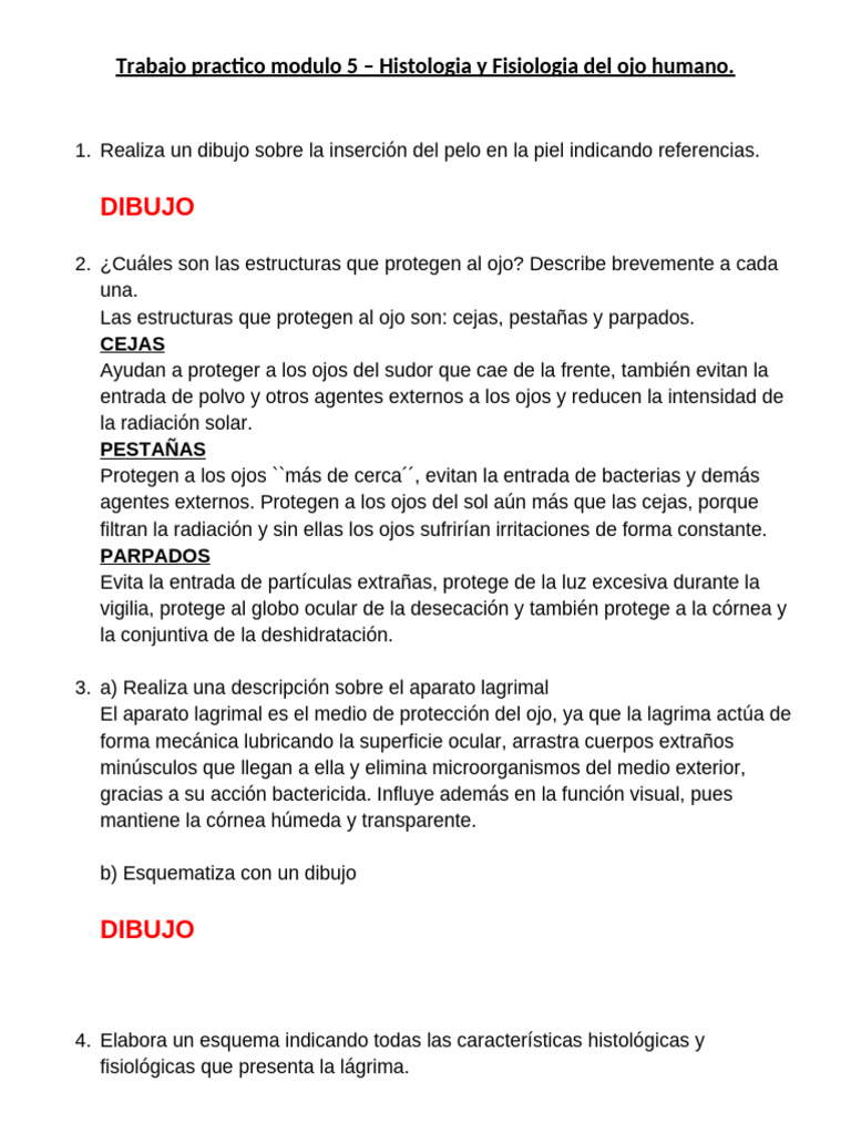 TPN° 5 - Histologia y Fisiologia Del Ojo Humano | PDF | Ojo | Ojo humano
