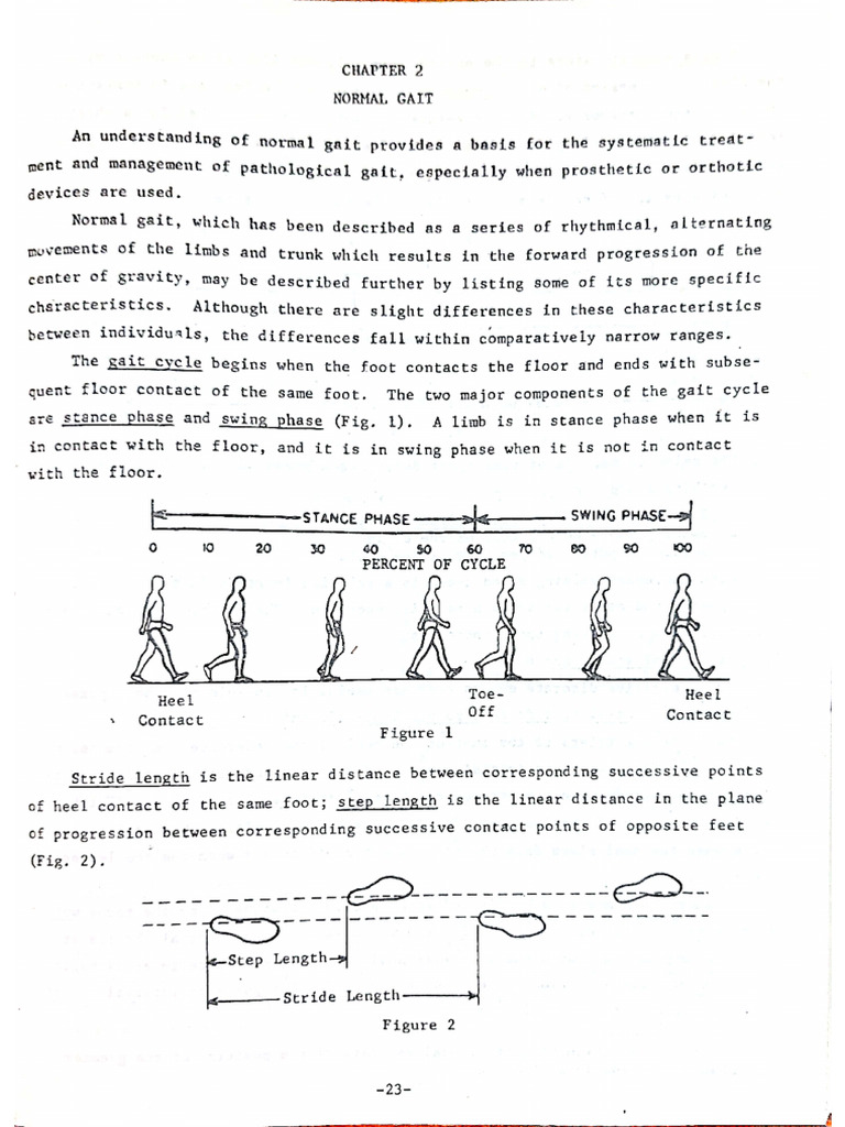 Mechanics of Gait | PDF