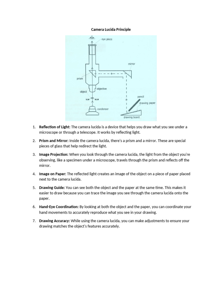 Camera Lucida Principle | PDF