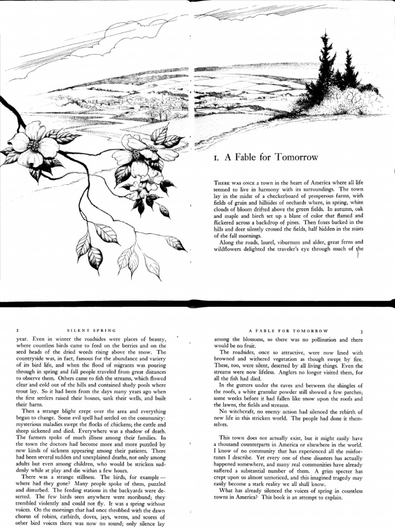 A Fable for Tomorrow: Silent Spring's Warning | PDF | Nature | Radiation