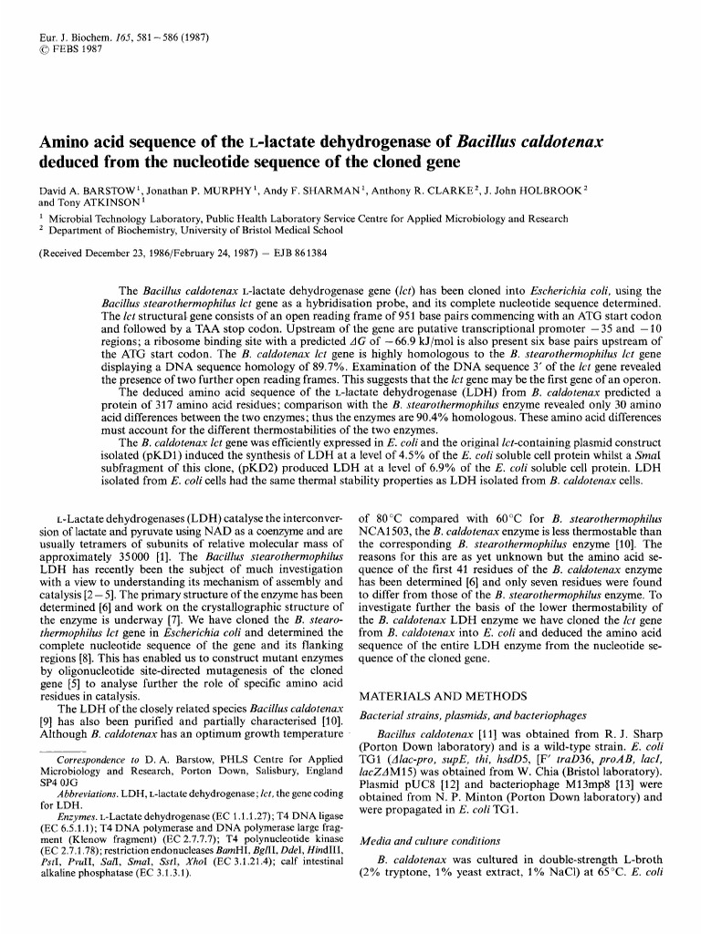 European Journal of Biochemistry - June 1987 - BARSTOW - Amino Acid ...