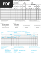 IIRUP Inventory Report Template | PDF | Business Economics | Business