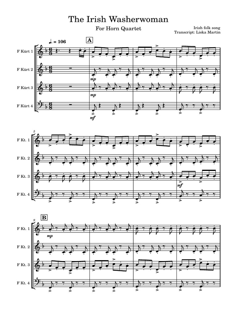 The Irish Washerwoman - Liska Martin | PDF | Rhythm And Meter | Poetics