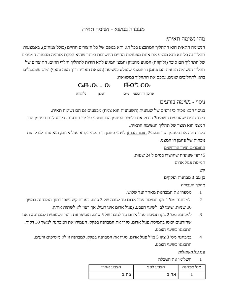 מאיה ברוס - עותק של Neshima - bzraim | PDF