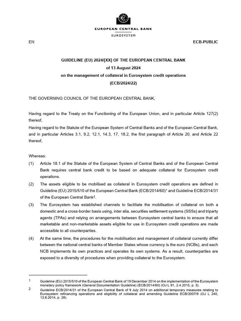 Ecb - Leg Gui 2024 22.en | PDF | European Central Bank | Financial Services