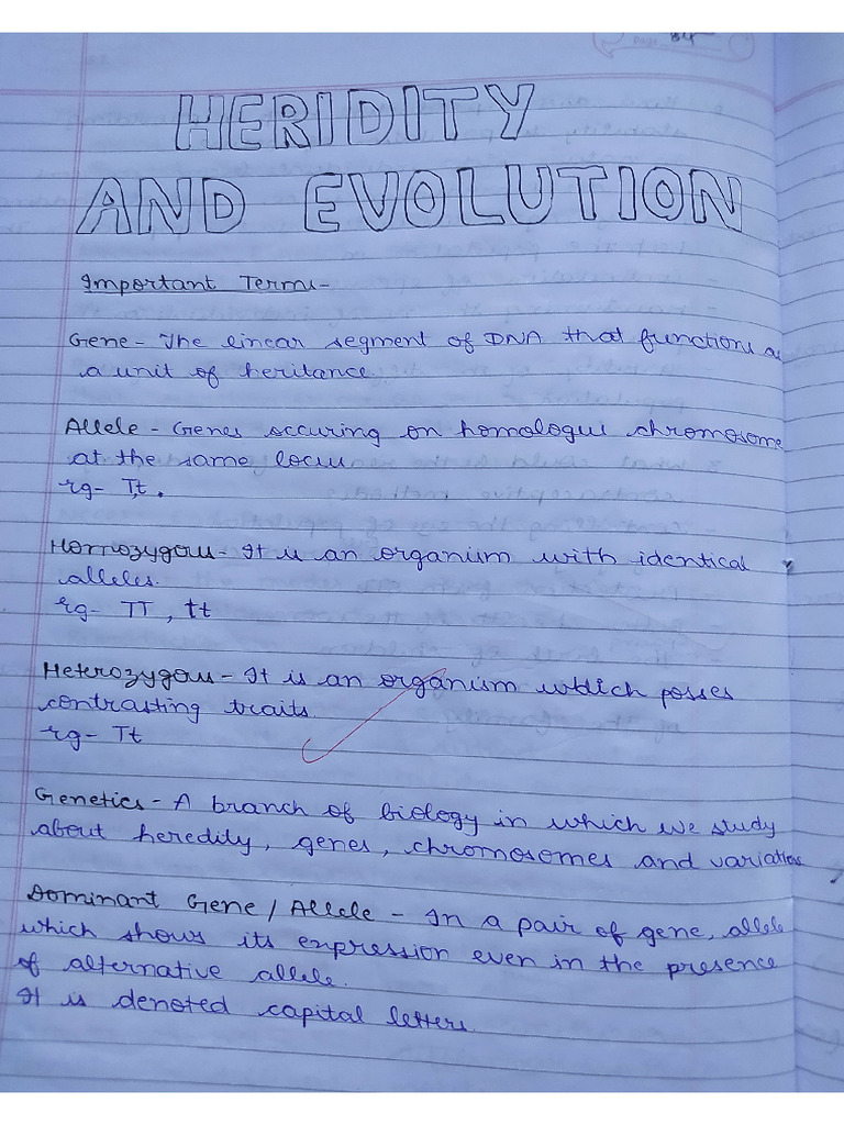 Heridity and Variation Class 10th | PDF